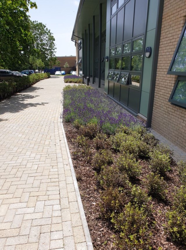 School Landscaping Image - Bawden Managed Landscapes